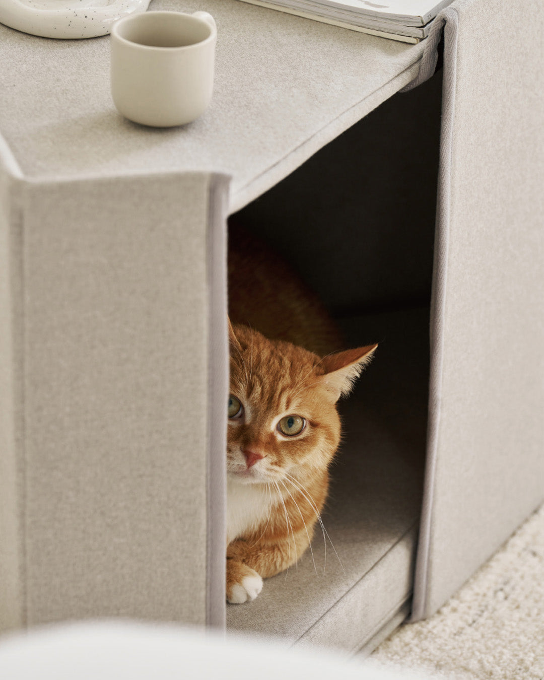 cat hiding box