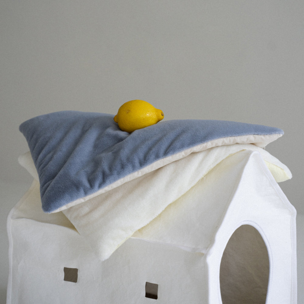 Sleep House