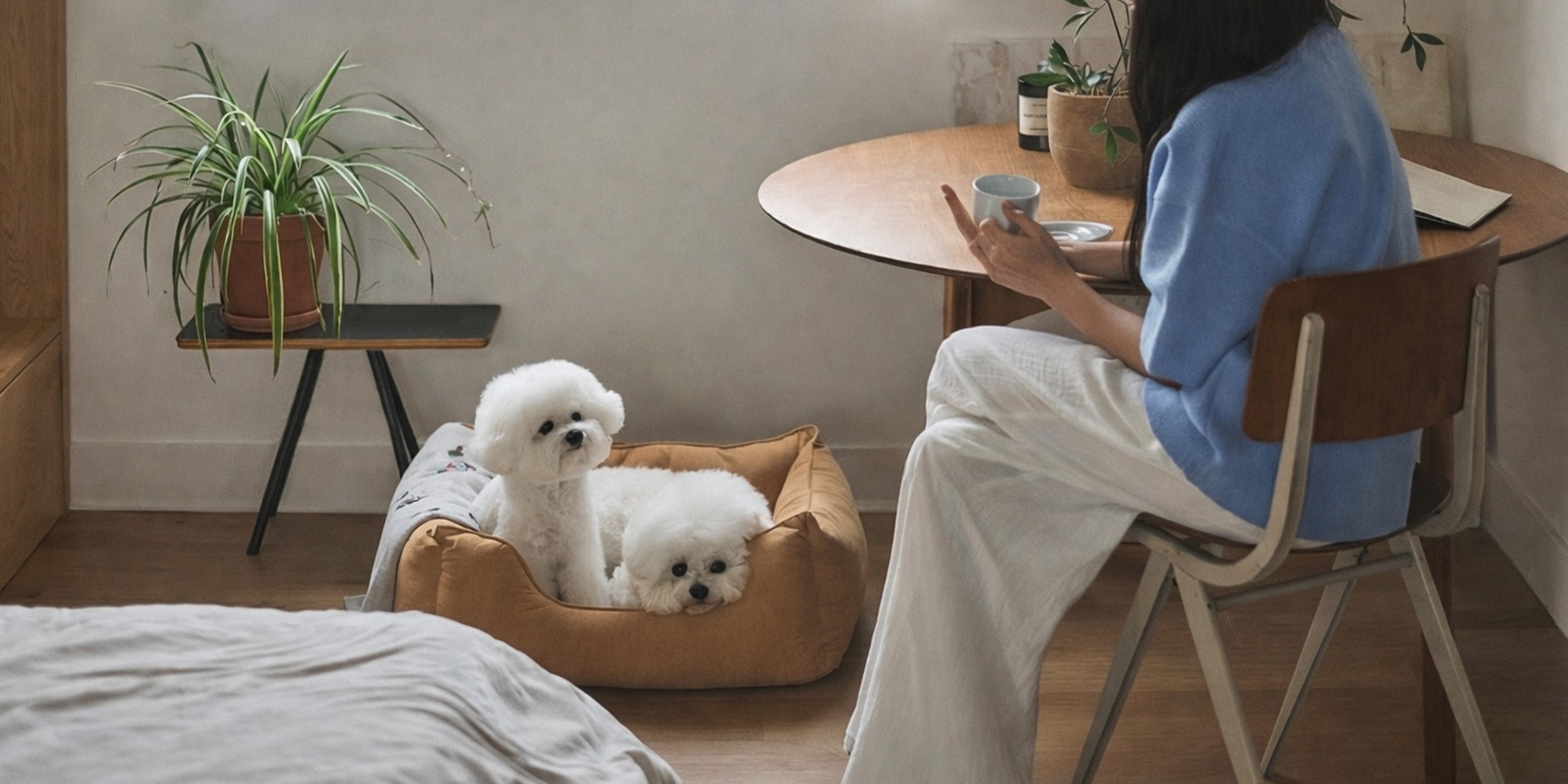 Design for Pets