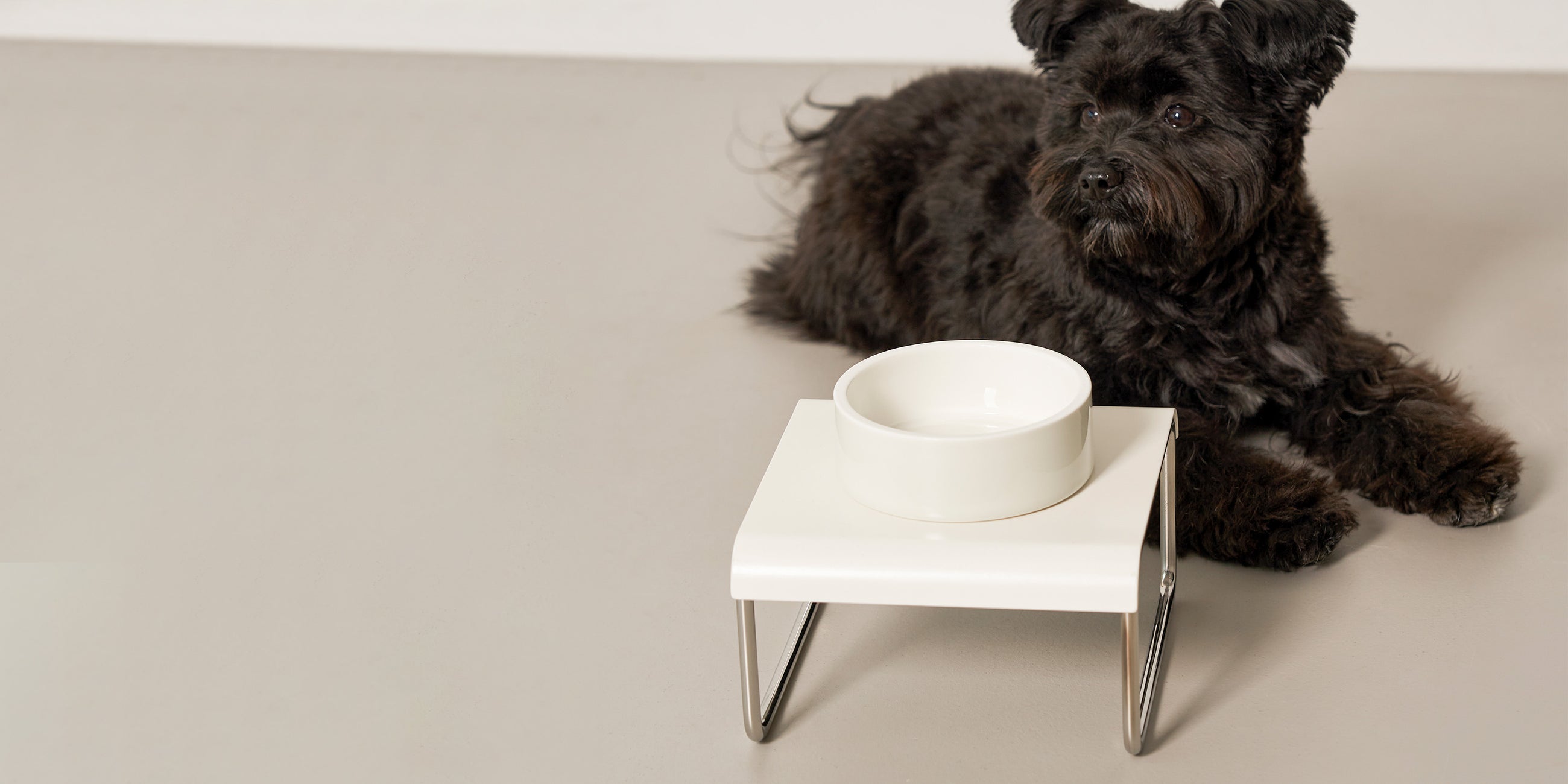 Square Dining Set